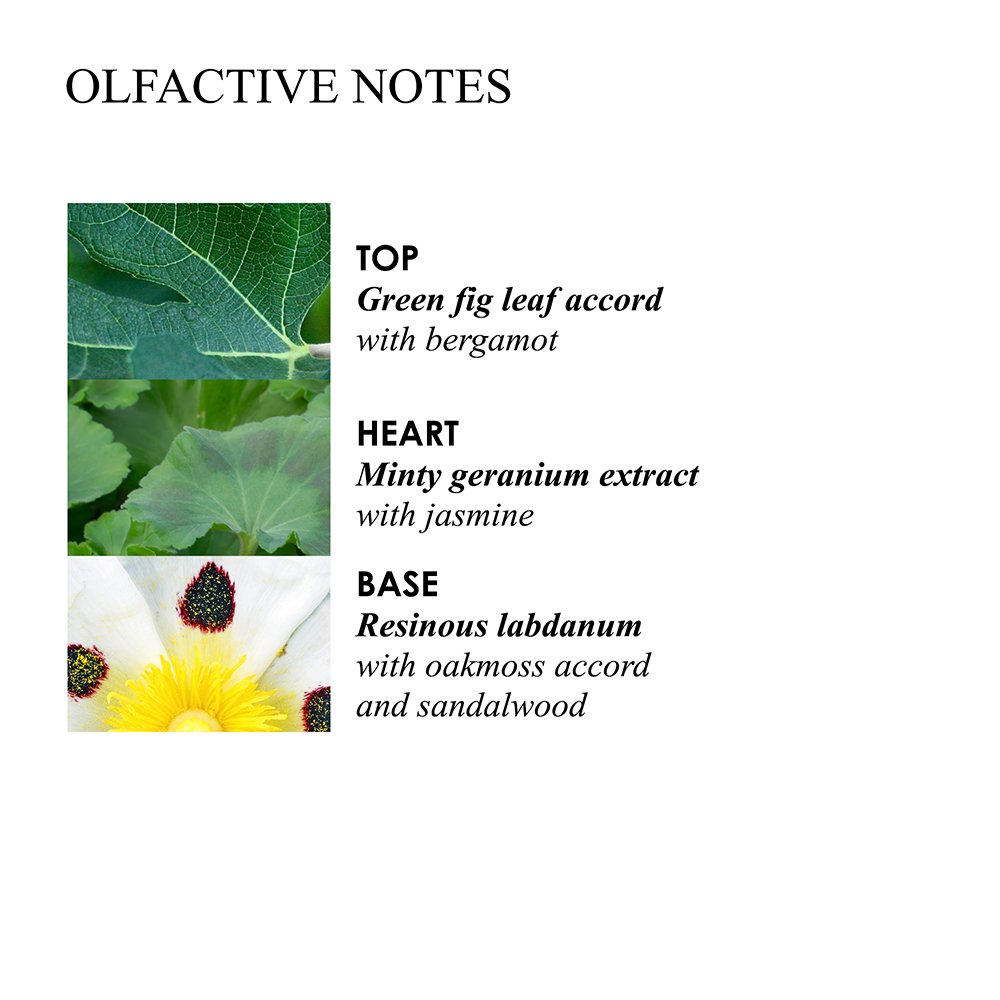 Molton Brown Geranium Nefertum Body Lotion | Goulds of Dorchester