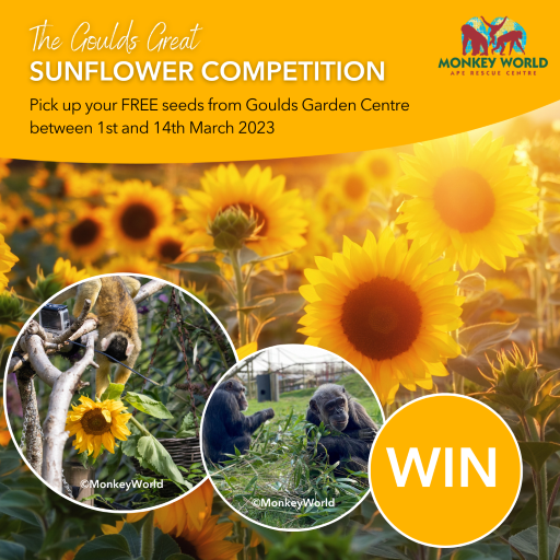 Workshops & Events | Goulds of Dorchester